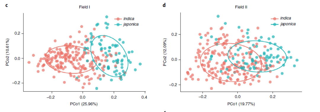 221.Beta多样性PCoA和NMDS排序-CSDN博客