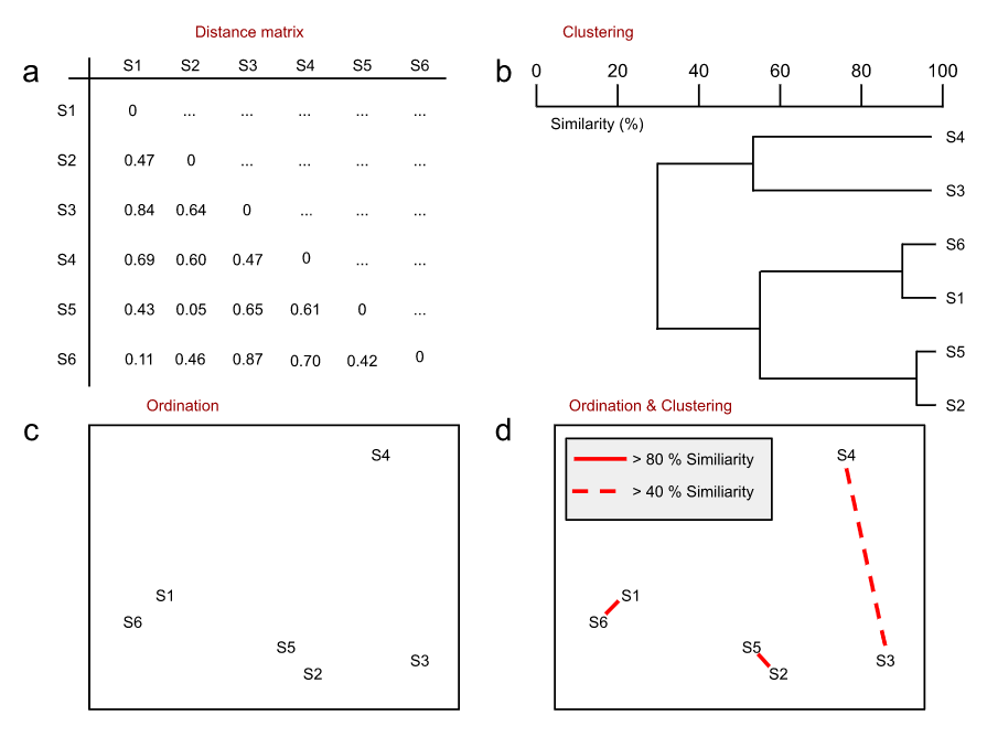 221.Beta多样性PCoA和NMDS排序-CSDN博客