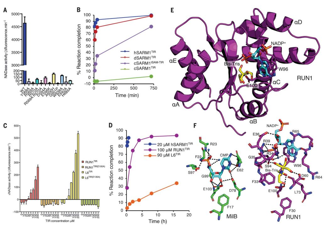 Science背靠背: NLR受体介导植物抗病反应新机制-CSDN博客