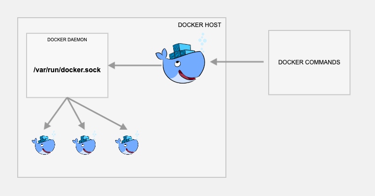 如何在Docker容器中运行Docker [3种方法]-CSDN博客