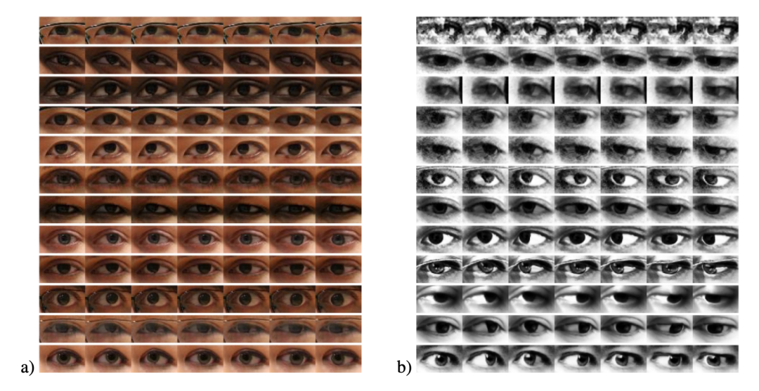 视线估计（Gaze Estimation）简介概述-CSDN博客
