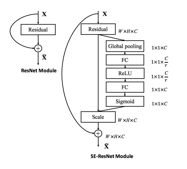 转载｜使用PaddleFluid和TensorFlow实现图像分类网络SE_ResNeXt-CSDN博客