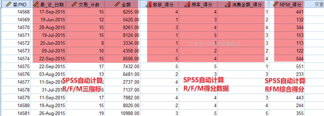 SPSS案例实践：RFM营销分析-CSDN博客