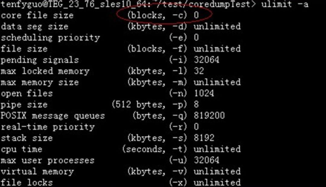 Coredump详解 Csdn博客 