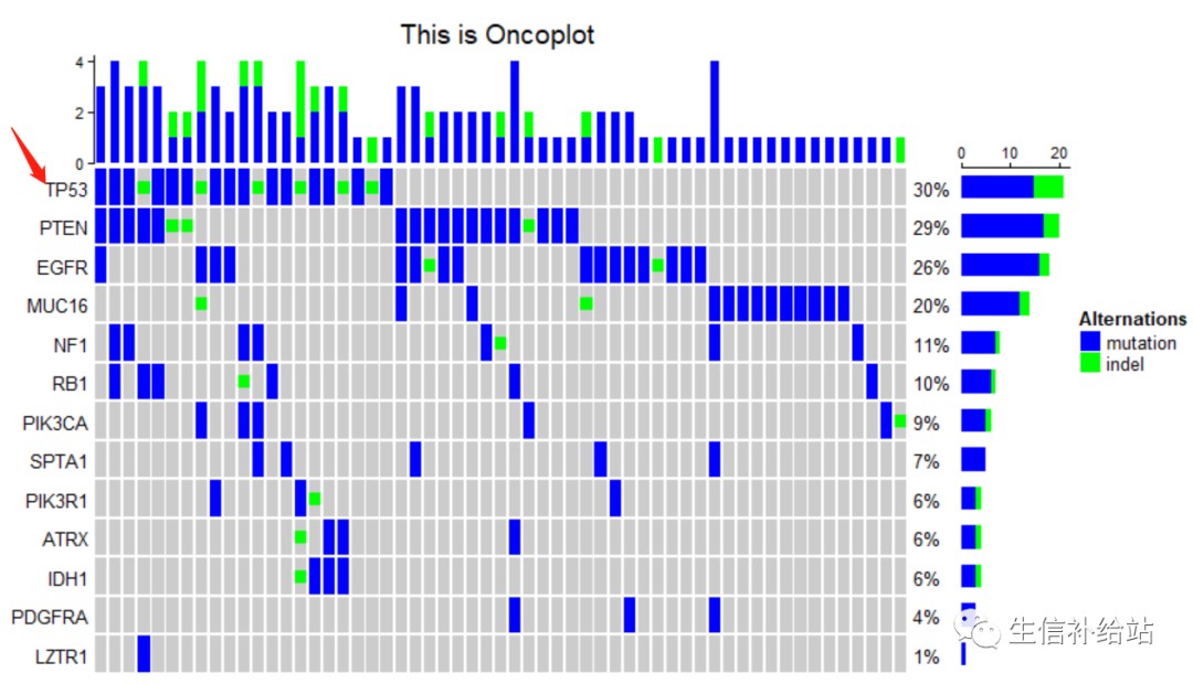 ComplexHeatmap|根据excel表绘制突变景观图（oncoplot）-CSDN博客