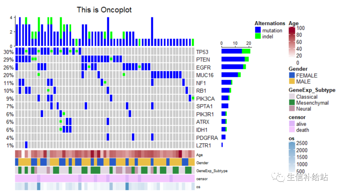 ComplexHeatmap|根据excel表绘制突变景观图（oncoplot）-CSDN博客