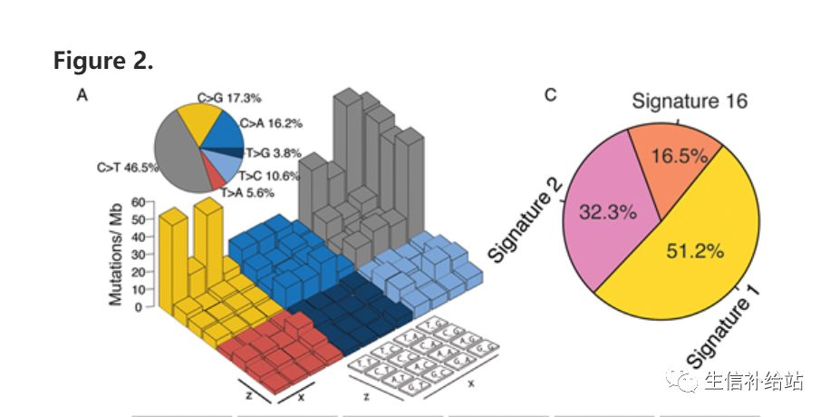barplot3d|圣诞节送你一个mutation signature搭建的“乐高”_r barplot3d-CSDN博客