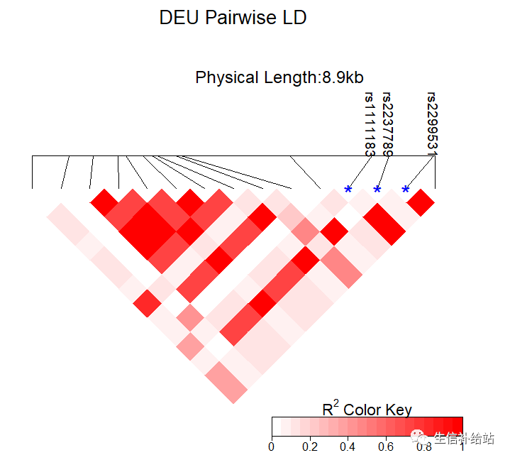 LDheatmap | SNP连锁不平衡图（LD）可视化，自己数据实现版！-CSDN博客