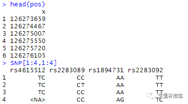 LDheatmap | SNP连锁不平衡图（LD）可视化，自己数据实现版！-CSDN博客
