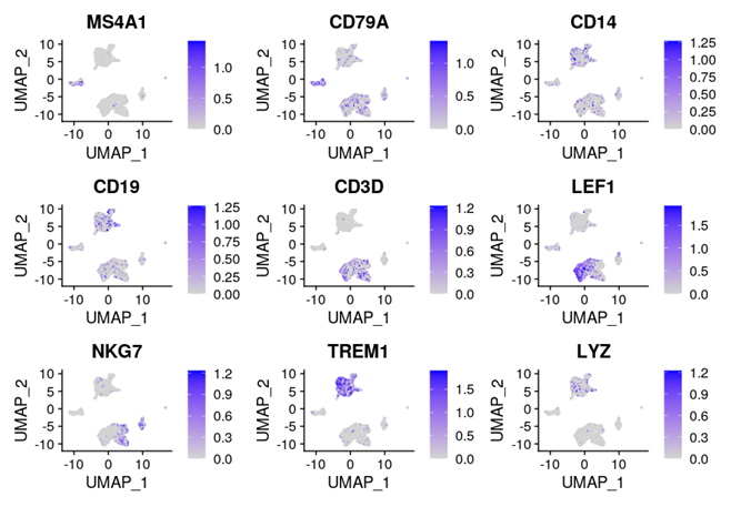 scATAC-seq建库原理，质控方法和新R包Signac的使用-CSDN博客