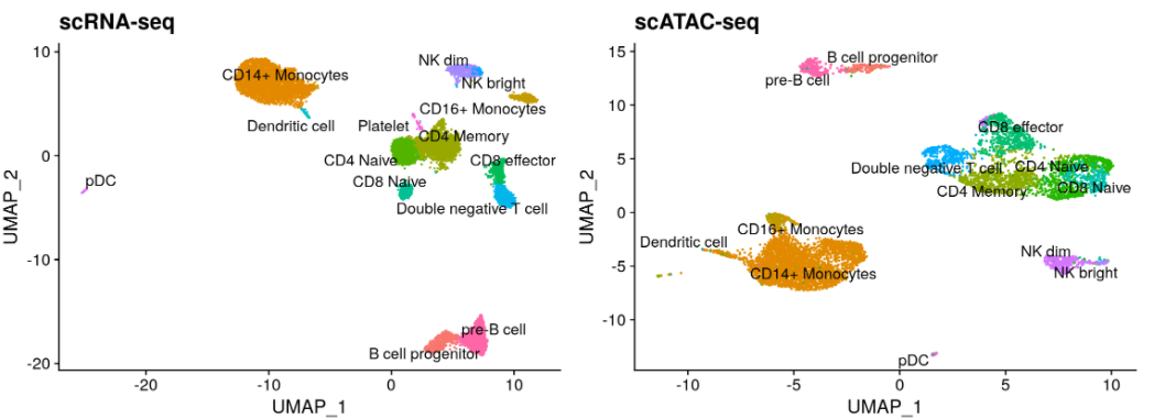scATAC-seq建库原理，质控方法和新R包Signac的使用-CSDN博客