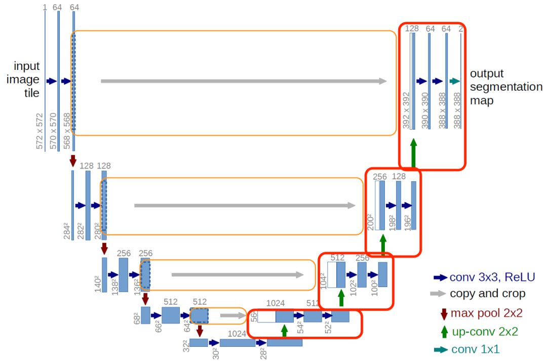 图像分割中的深度学习：U-Net 体系结构-CSDN博客