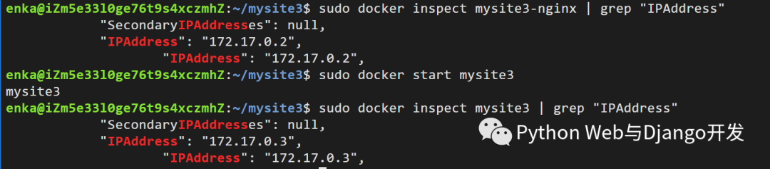 Docker部署django由浅入深系列 中 双容器部署django Uwsgi Nginx Csdn博客