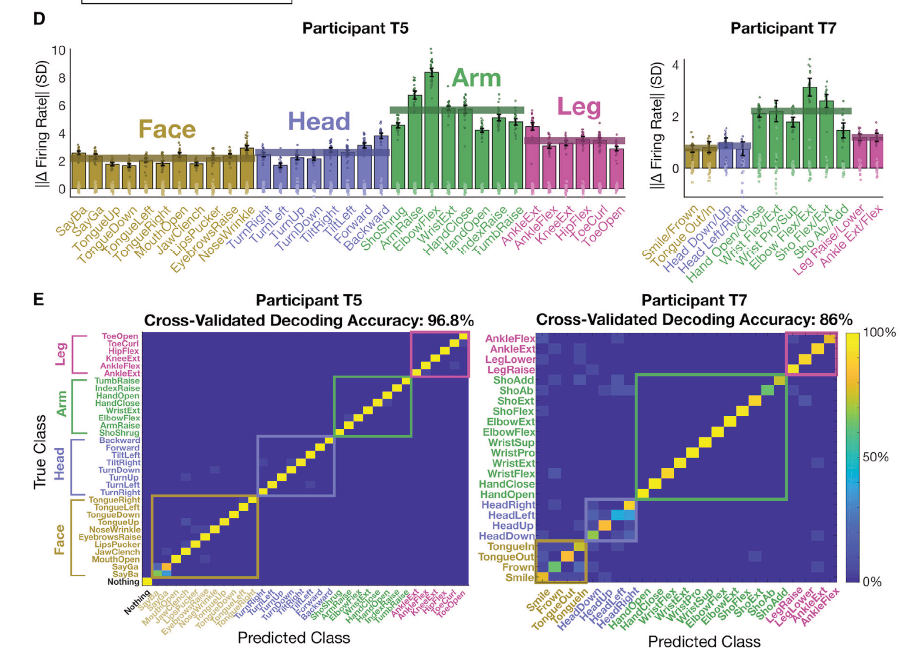 最新大脑图谱研究表明，手部的运动区域也与整个身体相连_hand knob area of premotor cortex represents ...