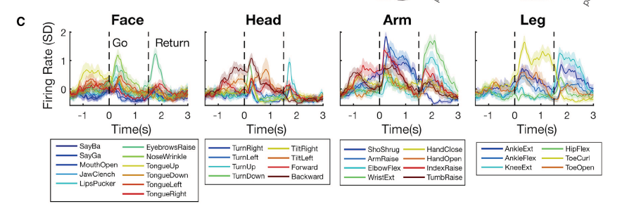 最新大脑图谱研究表明，手部的运动区域也与整个身体相连_hand knob area of premotor cortex represents ...