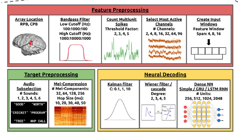 研究人员使用脑机接口从神经信号中重建单词_decoding speech from spike-based neural population ...