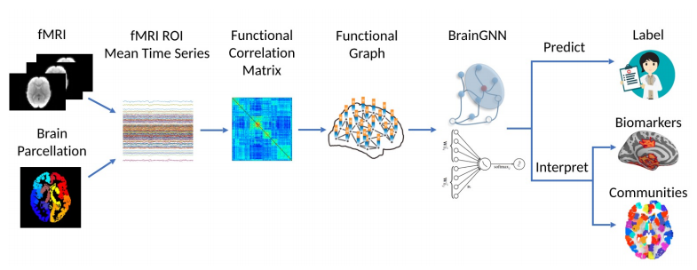 图神经网络 | BrainGNN: 用于功能磁共振成像分析的可解释性脑图神经网络_braingnn: interpretable brain graph neural network-CSDN博客
