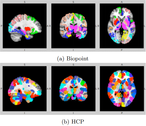 图神经网络 | BrainGNN: 用于功能磁共振成像分析的可解释性脑图神经网络_braingnn: interpretable brain ...