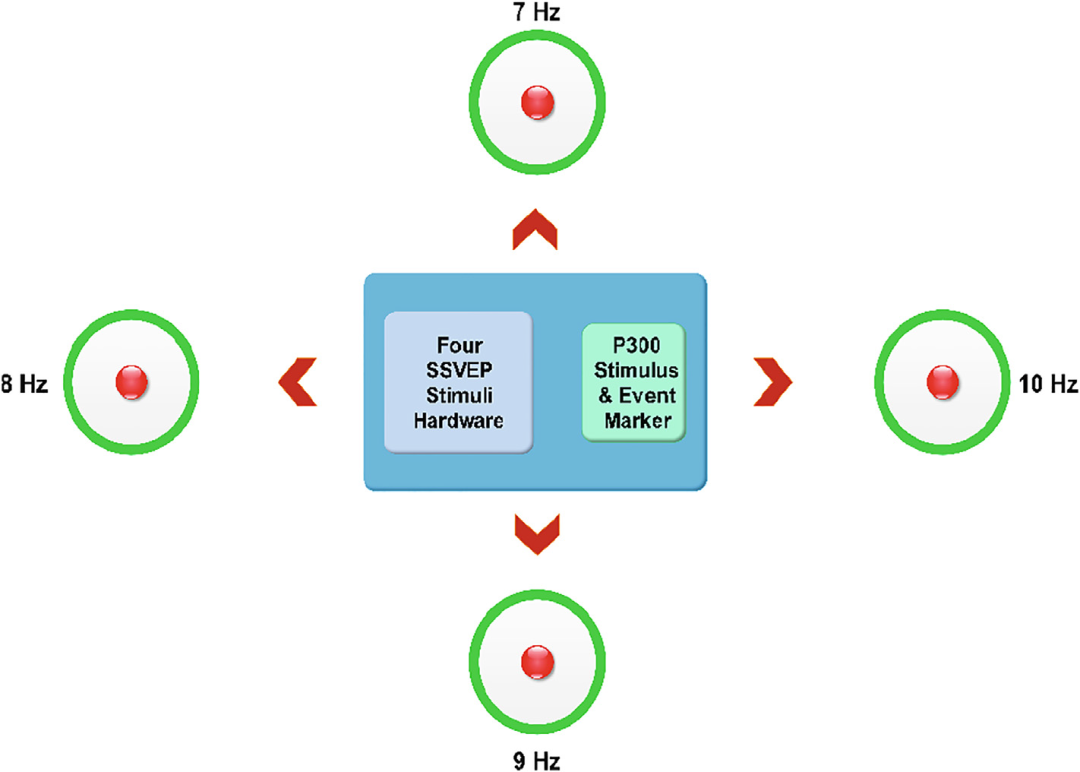 DIY混合BCI刺激系统：SSVEP-P300 LED刺激_脑波 p300,ssvep-CSDN博客