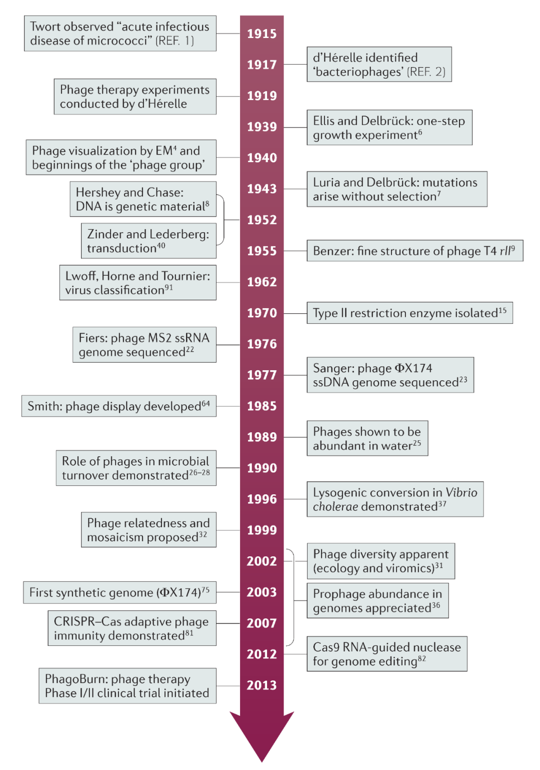Nature综述：噬菌体的百年研究-CSDN博客
