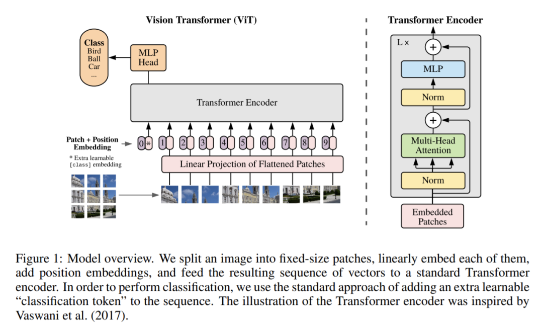 2021年了，Transformer有可能替代CNN吗？未来有哪些研究方向？-CSDN博客