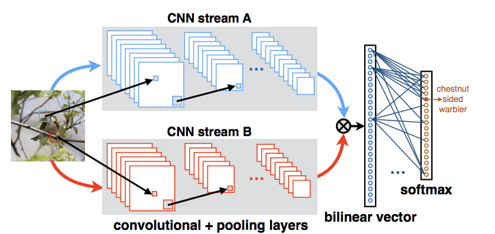 深度学习: 细粒度图像分类 (fine-grained image recognition)-CSDN博客