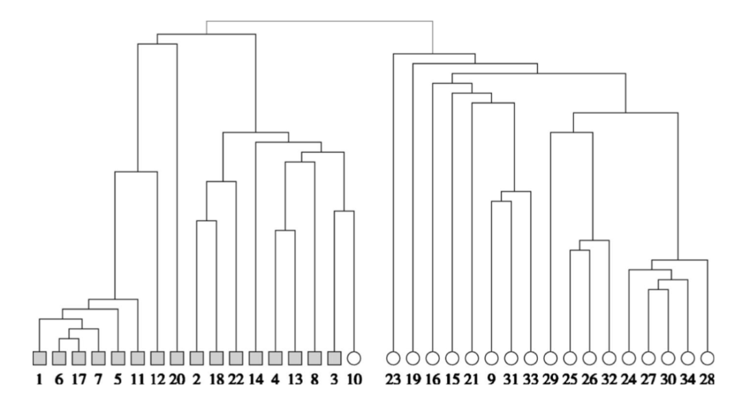 社区发现FN算法Python实现-CSDN博客