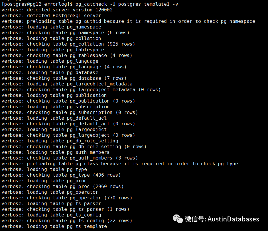 PostgreSQL pg_catcheck 系统文件的缺失的检查员-CSDN博客