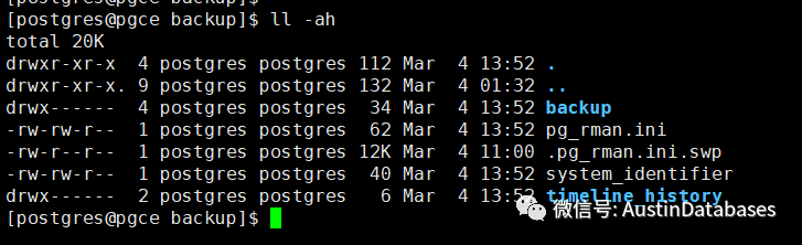 POSTGRESQL PG_RMAN 基本操作-CSDN博客