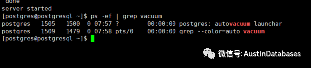 POSTGRESQL AUTO_VACUUM 弄清问题,解决问题-CSDN博客