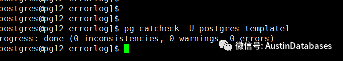 PostgreSQL pg_catcheck 系统文件的缺失的检查员_Austindatabases的博客-CSDN博客