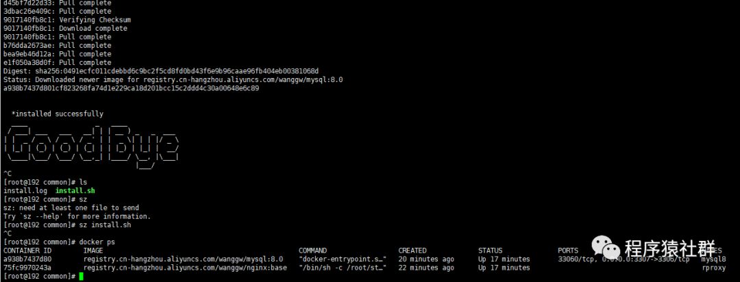 一键式服务器环境安装，docker运维必备 Csdn博客 