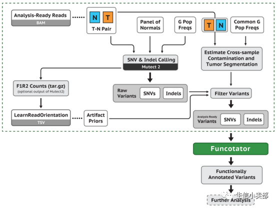 利用GATK4.1 mutect2寻找体细胞突变（SNV和INDEL）_gatk mutect2 检测流程-CSDN博客
