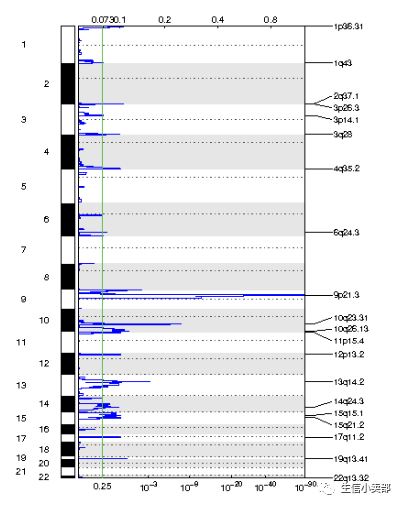 利用GISTIC2.0整合队列CNV拷贝数变异分析结果_viancheng的博客-CSDN博客_gistic