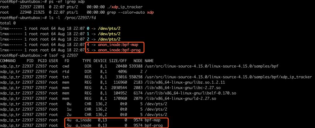 BPF数据传递的桥梁——BPF Map（一）-CSDN博客