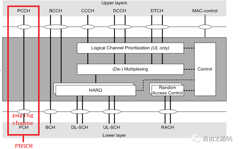 NR - Paging协议学习_nr paging-CSDN博客