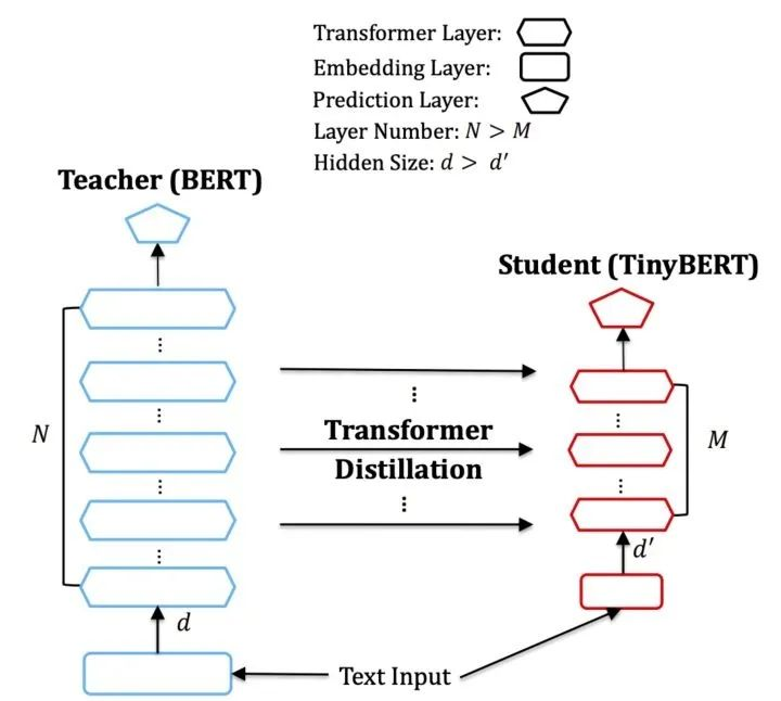 深度学习模型压缩与加速综述！-CSDN博客