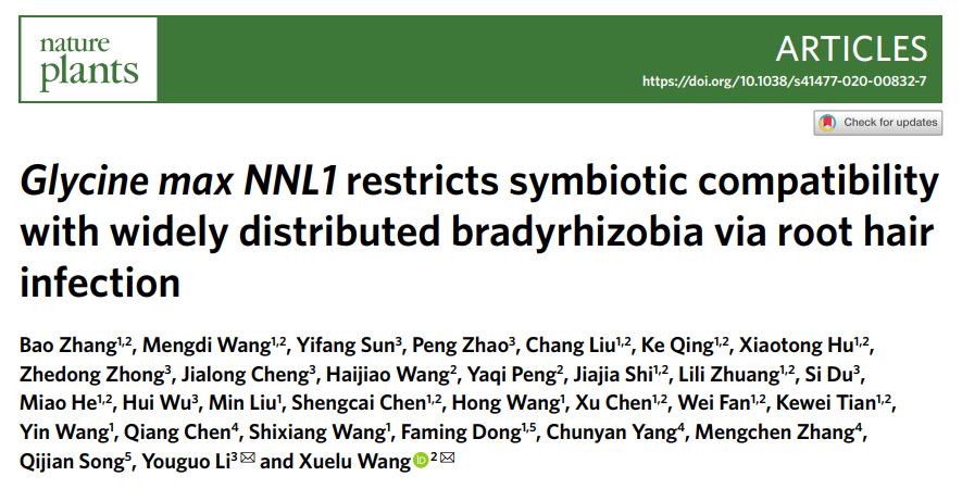 Nature Plants：河南大学王学路团队揭示大豆与根瘤菌匹配性的进化及其分子机制...-CSDN博客