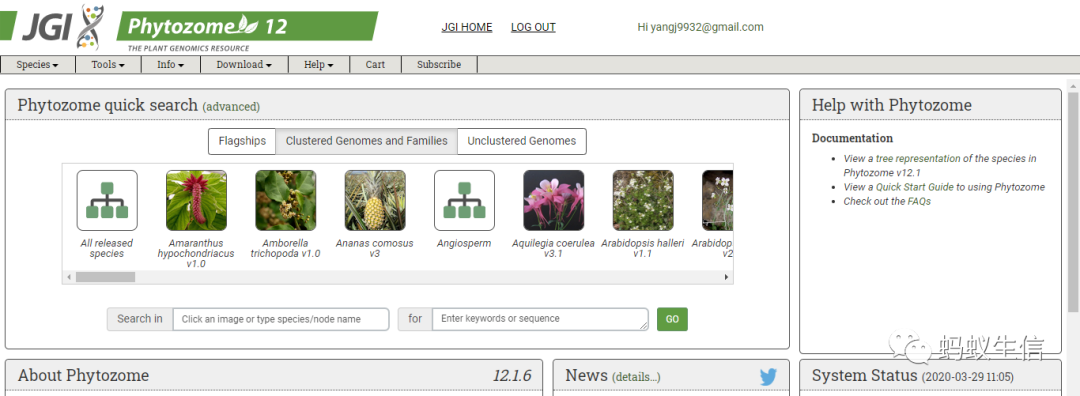 部分植物基因组数据库汇总-CSDN博客