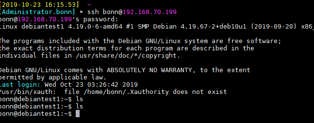 Debian10服务器安装_graphical debin-CSDN博客