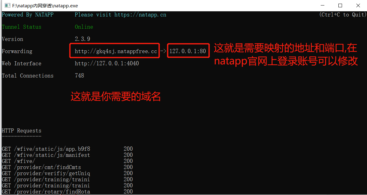 Natapp实现内网穿透 – 源码巴士