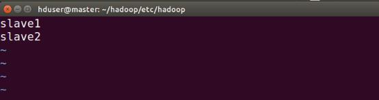 hadoop：分布式集群参数master节点的配置！_datanode进程在那些节点中出现-CSDN博客