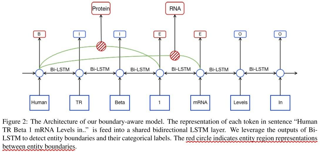 [论文解读]EMNLP2019: A Boundary-aware Neural Model for Nested NER_a boundary-aware neural model for ...