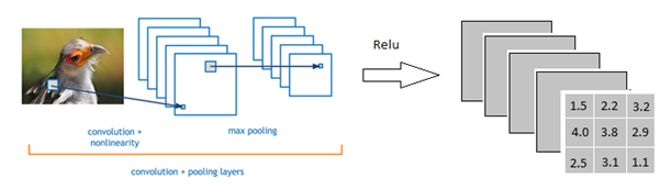 全连接层（Fully Connected Layer）_fullyconnectedlayer(1)-CSDN博客