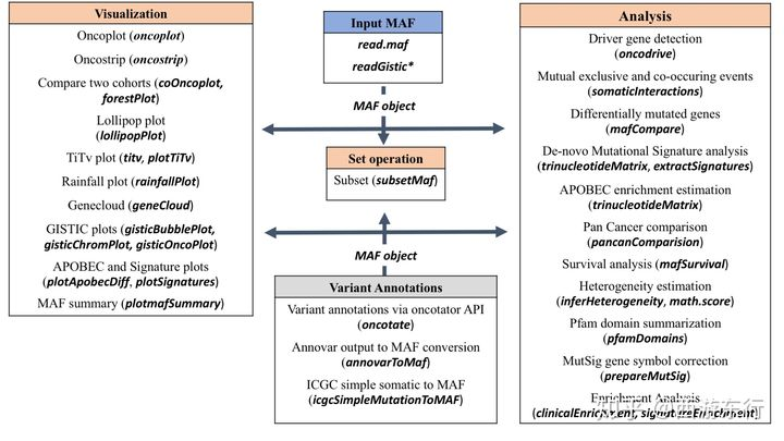 maftools | 从头开始绘制发表级oncoplot（瀑布图）_maftools waterfall-CSDN博客