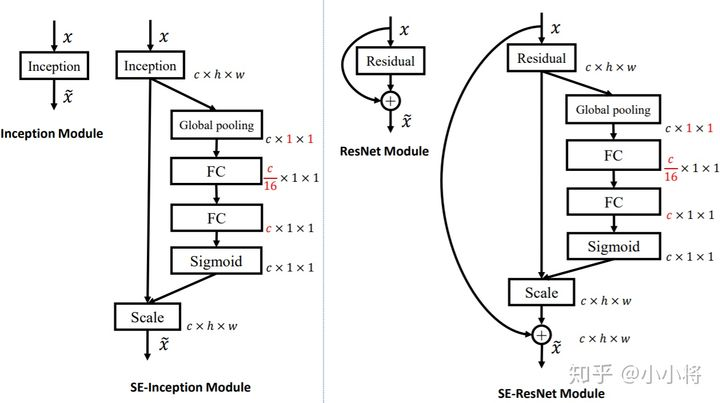 SENet结构解读-CSDN博客