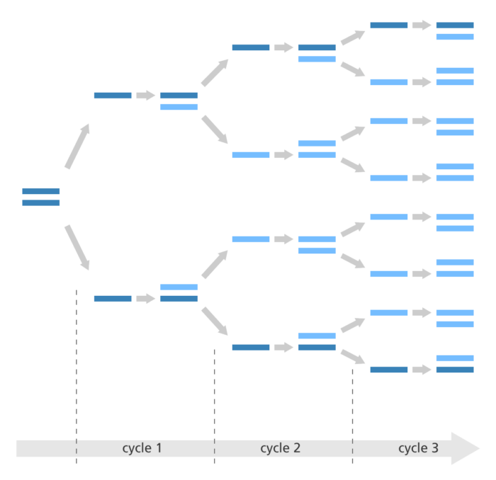 WGS（重测序）分析详解与脚本_wgs的hard filter 与vqsr-CSDN博客