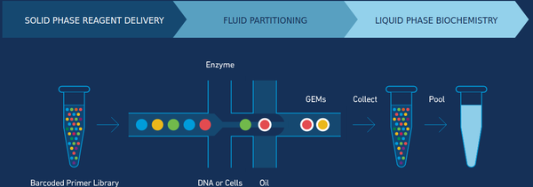 PacBio sequence error correction amd assemble via pacBioToCA_pacbio pcr ...
