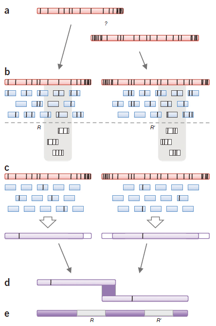 PacBio sequence error correction amd assemble via pacBioToCA_pacbio pcr ...