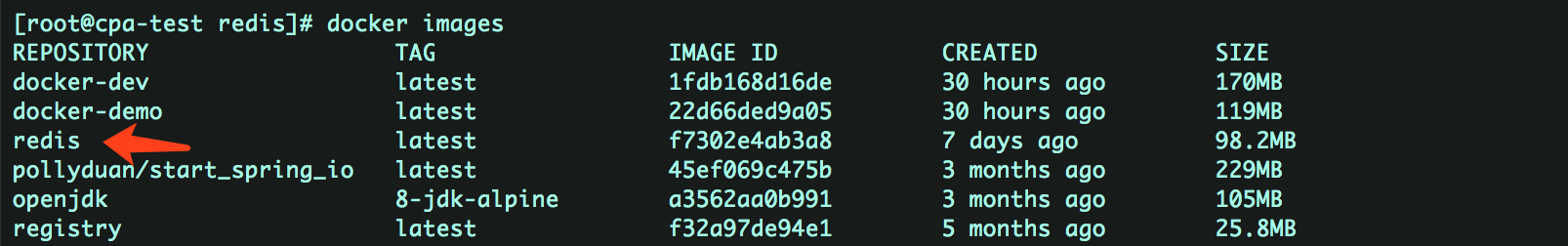 Centos docker安装redis，解决Fatal error, can't open config file错误_fatal error, can't open config file ...